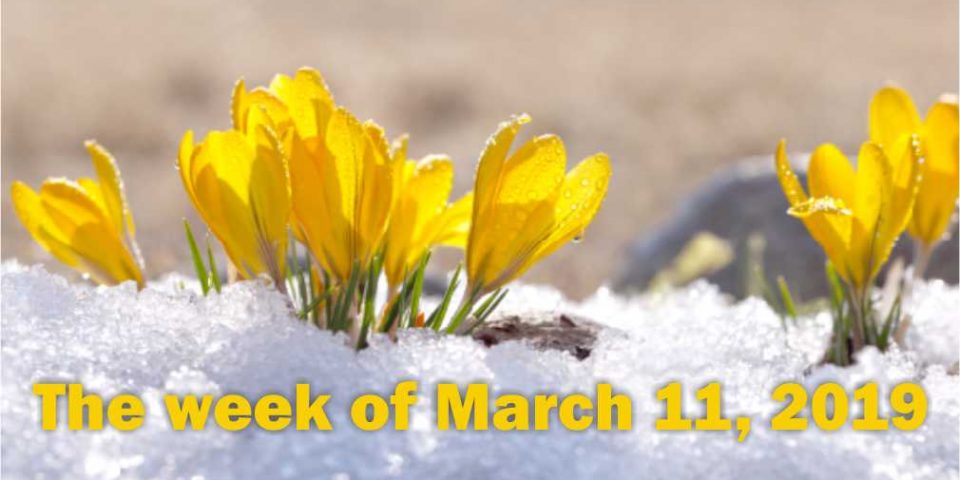 Index of /wp-content/uploads/2019/03